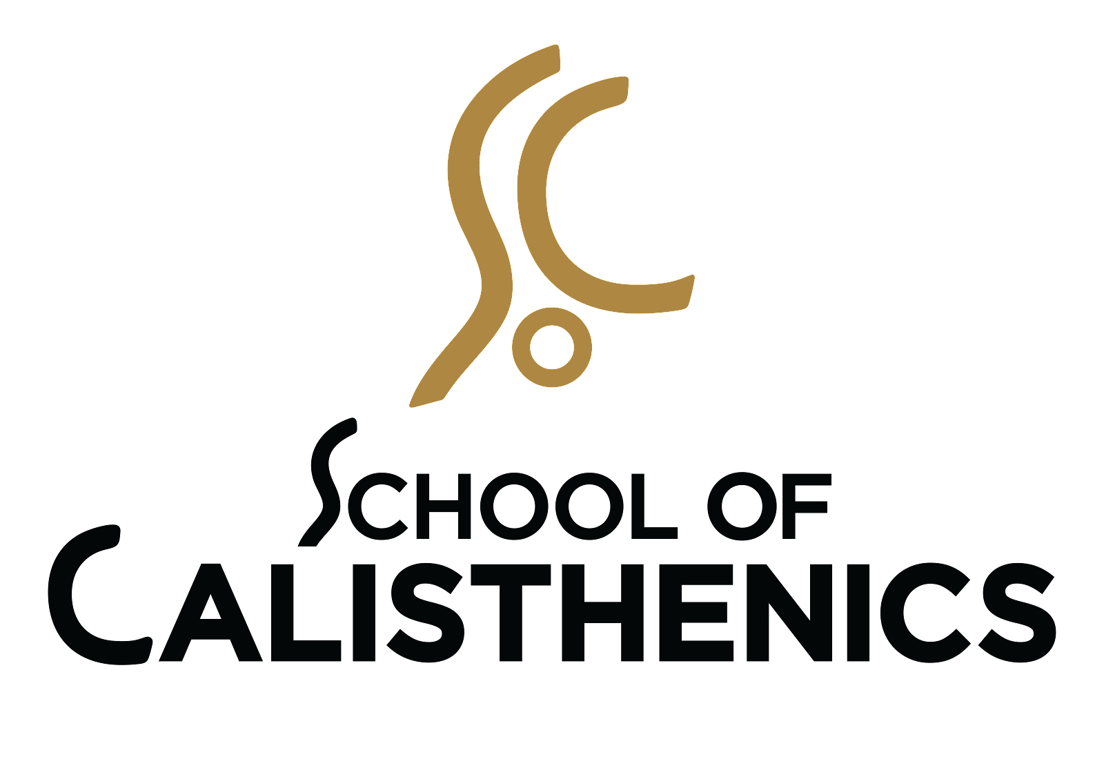 School of Calisthenics